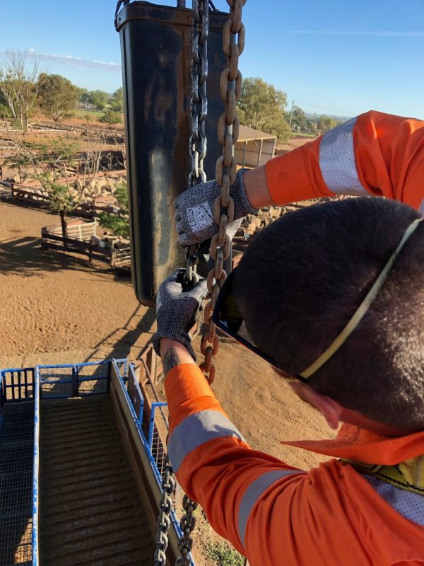 Gallery | Phoenix Lifting